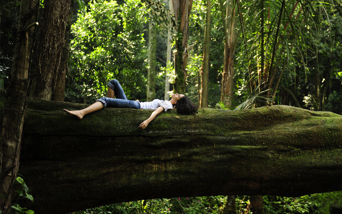 Forest bathing: cos'è e come praticarlo | DF Sport Specialist